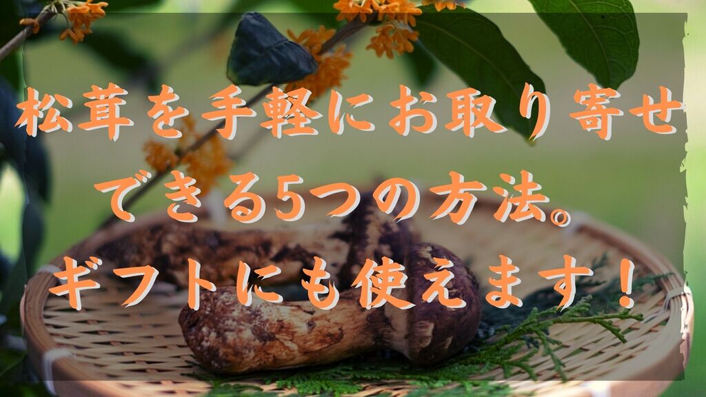 松茸を手軽にお取り寄せする5つの方法。ギフトにも使えます！